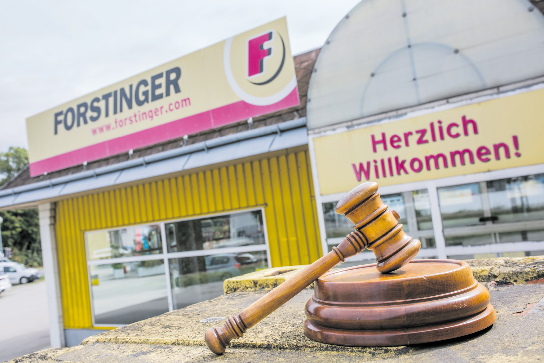 Auktionen bei Forstinger – mnews – medianet.at