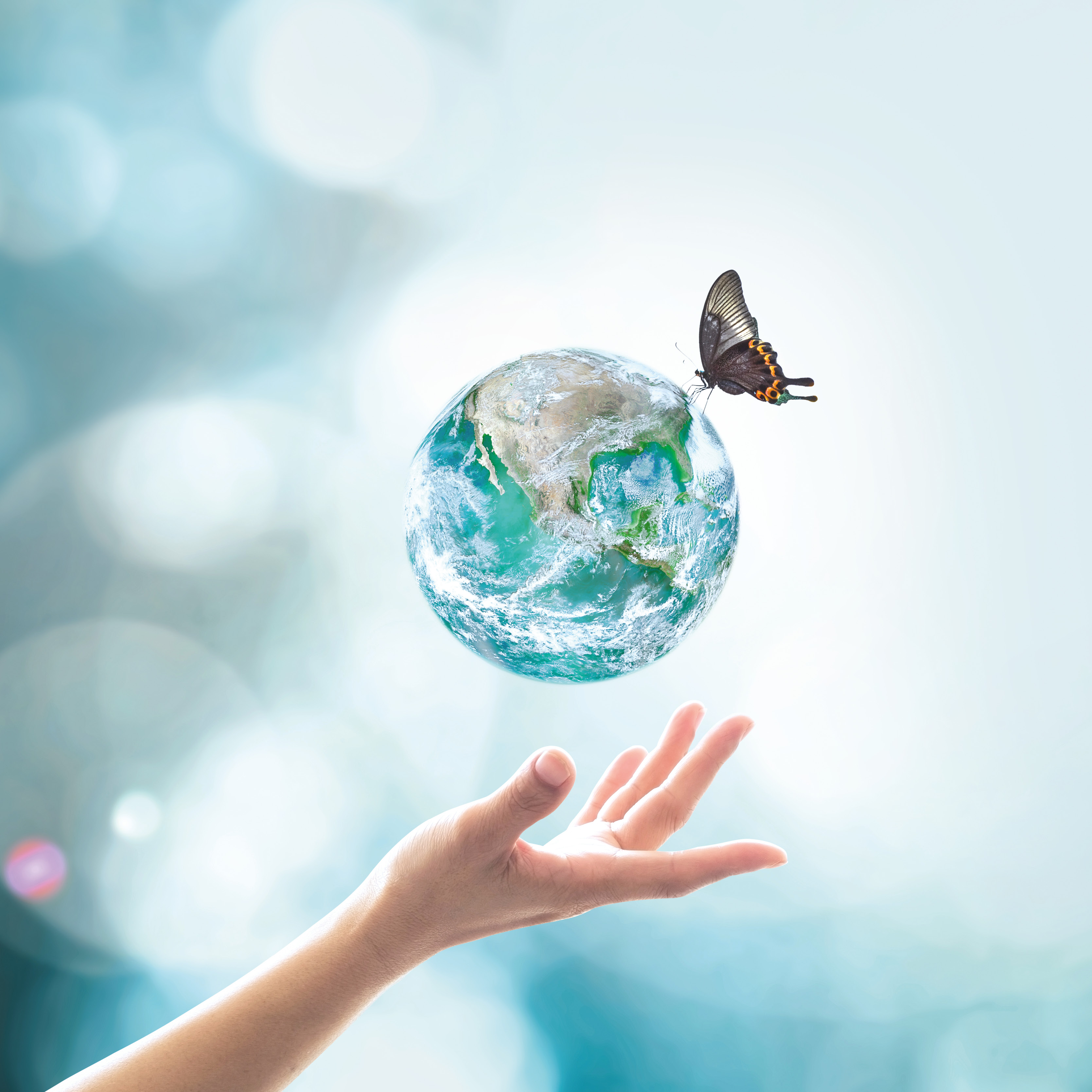 Von Regulatorik und Sustainable Performance – mnews – medianet.at