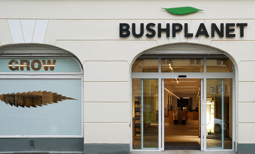 Sanierungsverfahren über insolventen Großhändler Bushplanet eröffnet ...