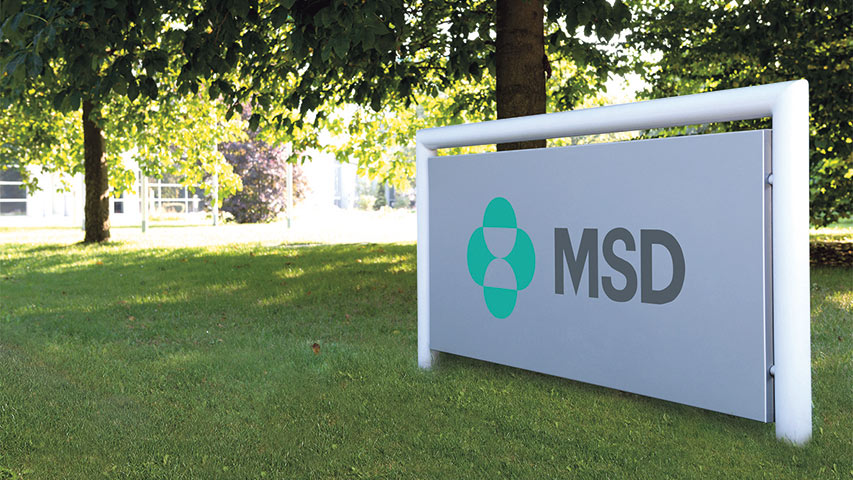 MSD fördert Start-ups – mnews – medianet.at